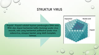 mengenal beragam virus dan jenis- jenisnya | PPT