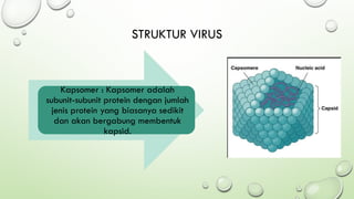 mengenal beragam virus dan jenis- jenisnya | PPT