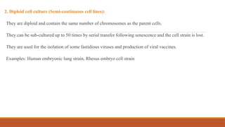 Morphology, Classification and Cultivation of Virus | PPTX