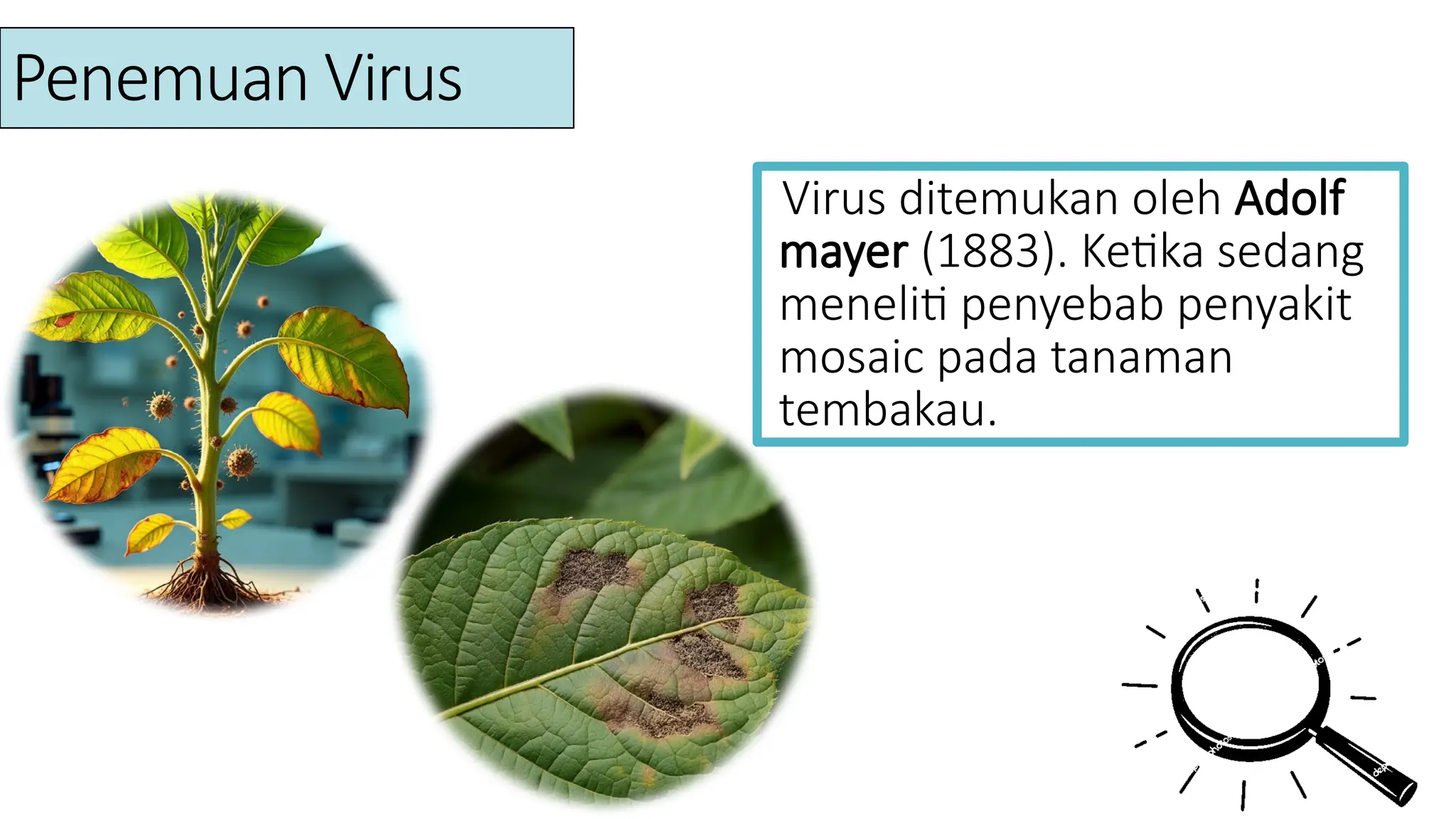 virus (sejarah penemuan virus, bentuk, ciri dan struktur virus).pptx