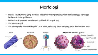 Pengertian dan Ciri-ciri, jenis-jenis Virus | PPTX
