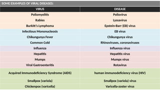 HUMAN VIRUS: FUNDAMENTAL CONCEPT, STRUCTURE, LIFE CYCLE, BALTIMORE ...