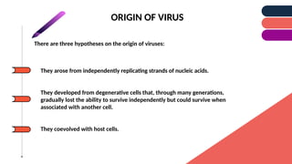 HUMAN VIRUS: FUNDAMENTAL CONCEPT, STRUCTURE, LIFE CYCLE, BALTIMORE ...