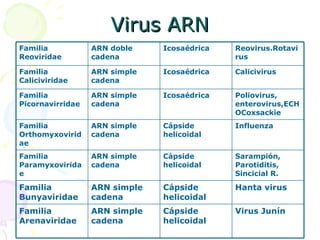 Virus Arn | PPT