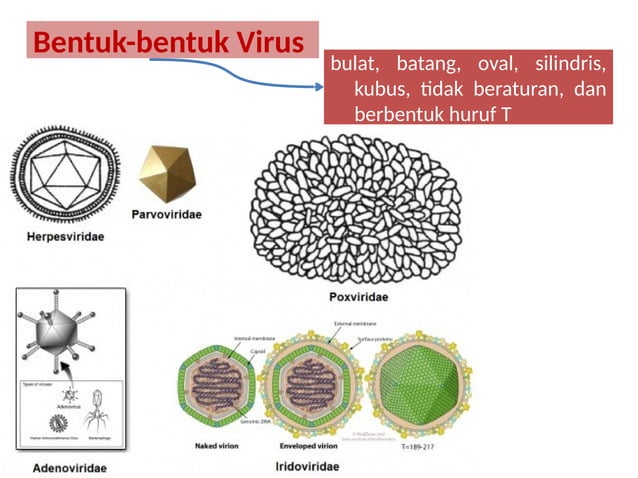 Virus - 678978912345678Bentuk virus.pptx