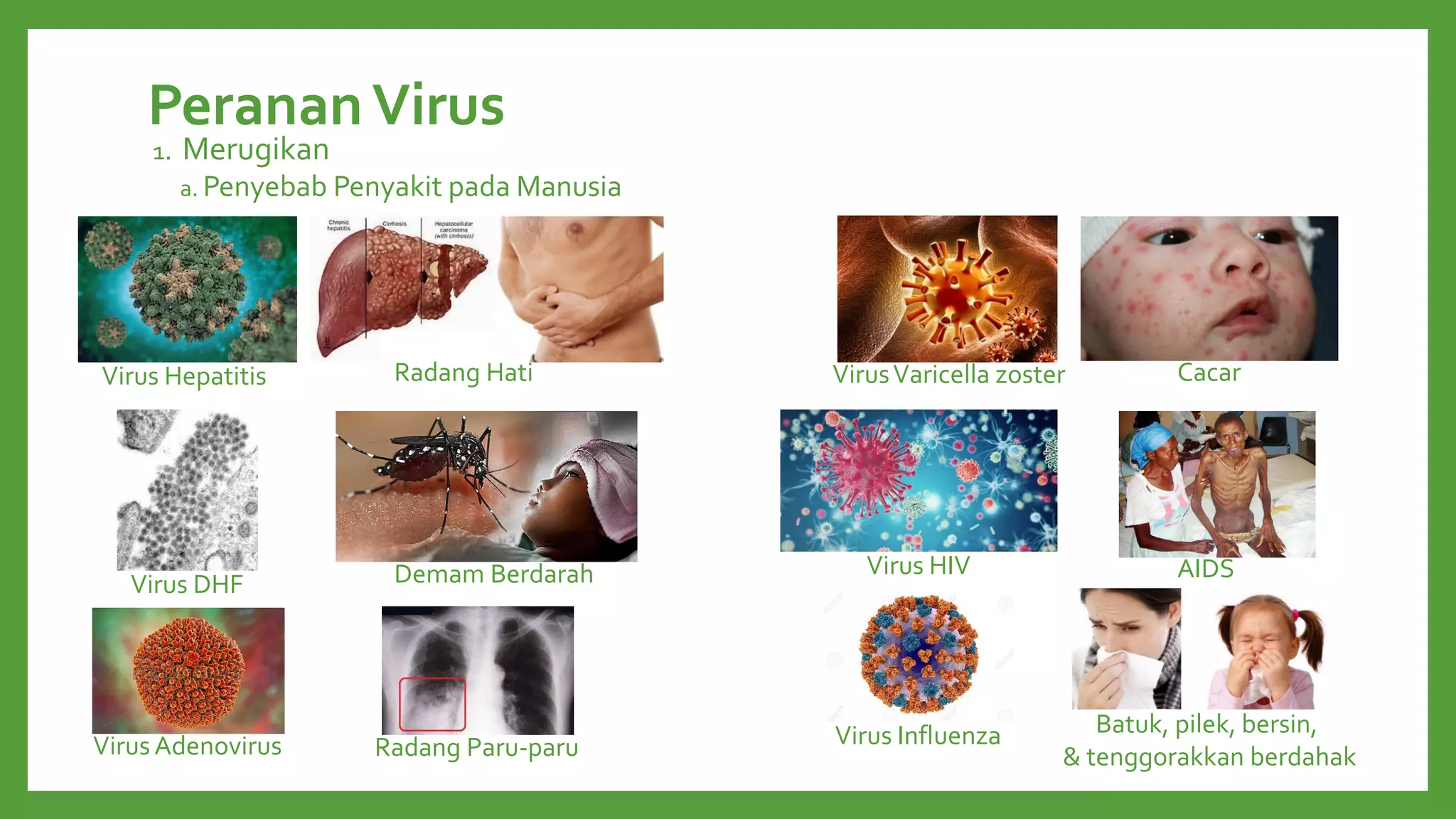 Virus-Biologi-Kelas X SMA/MA | PDF