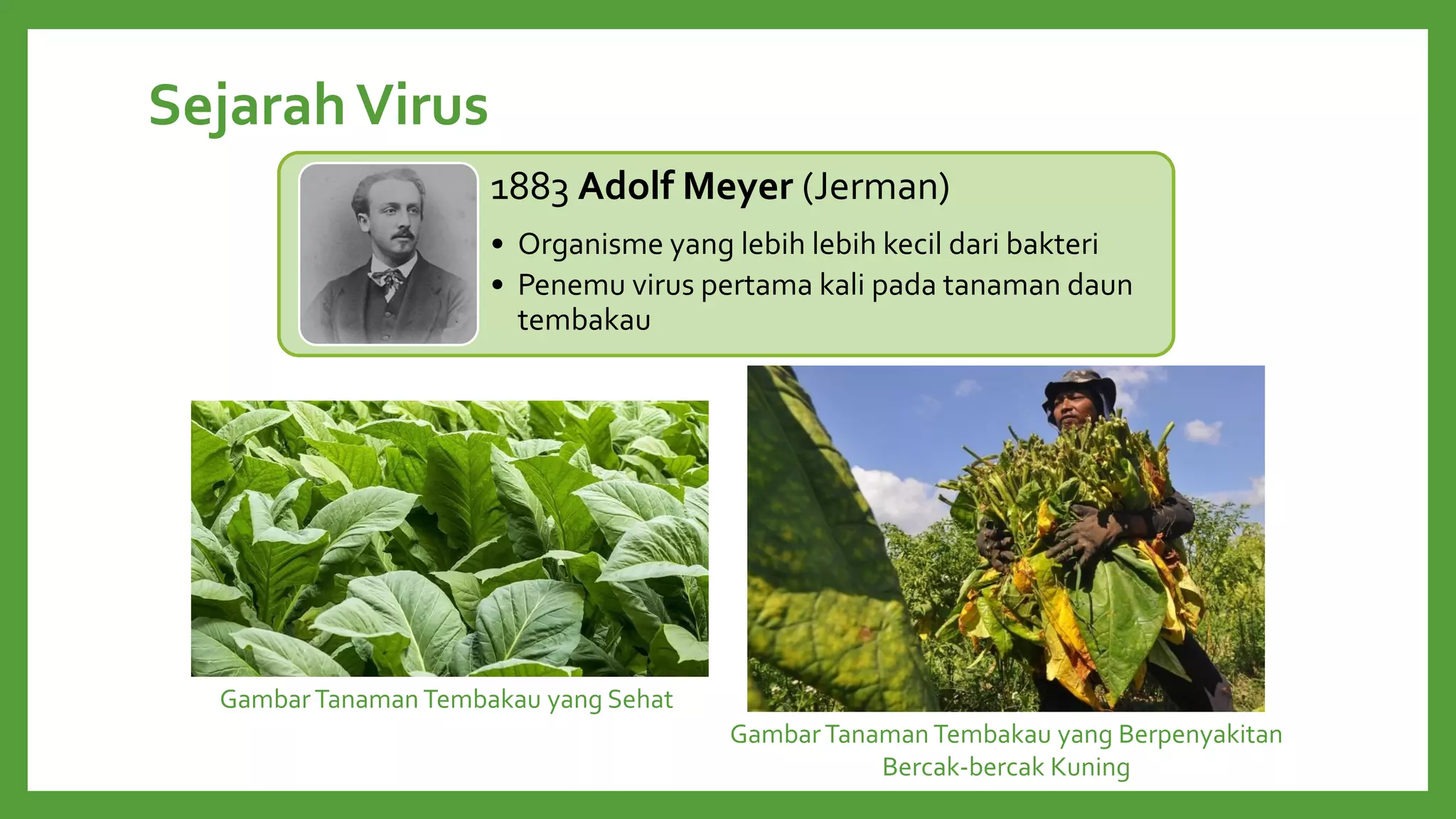 Virus-Biologi-Kelas X SMA/MA | PDF
