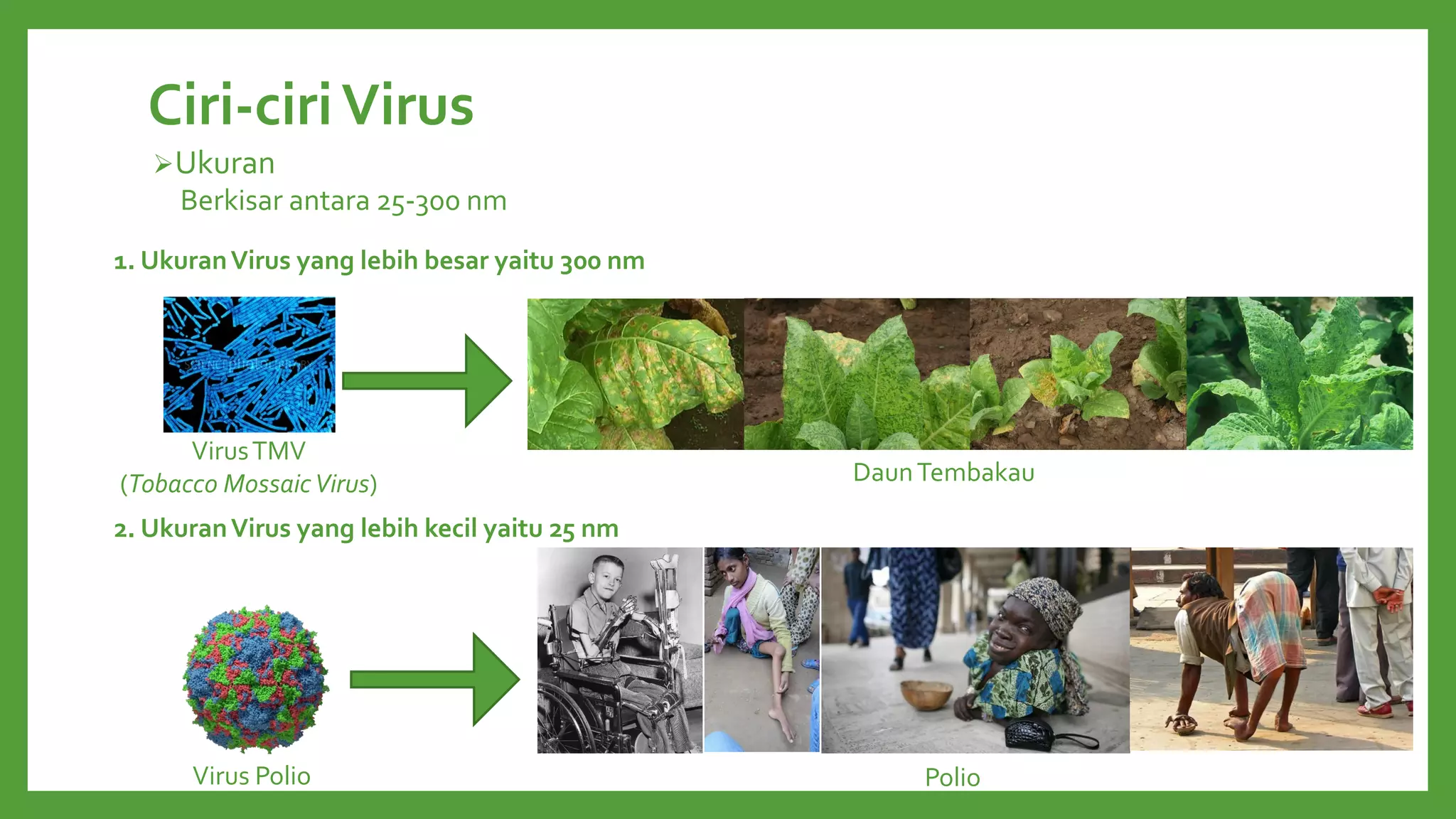 Virus-Biologi-Kelas X SMA/MA | PDF
