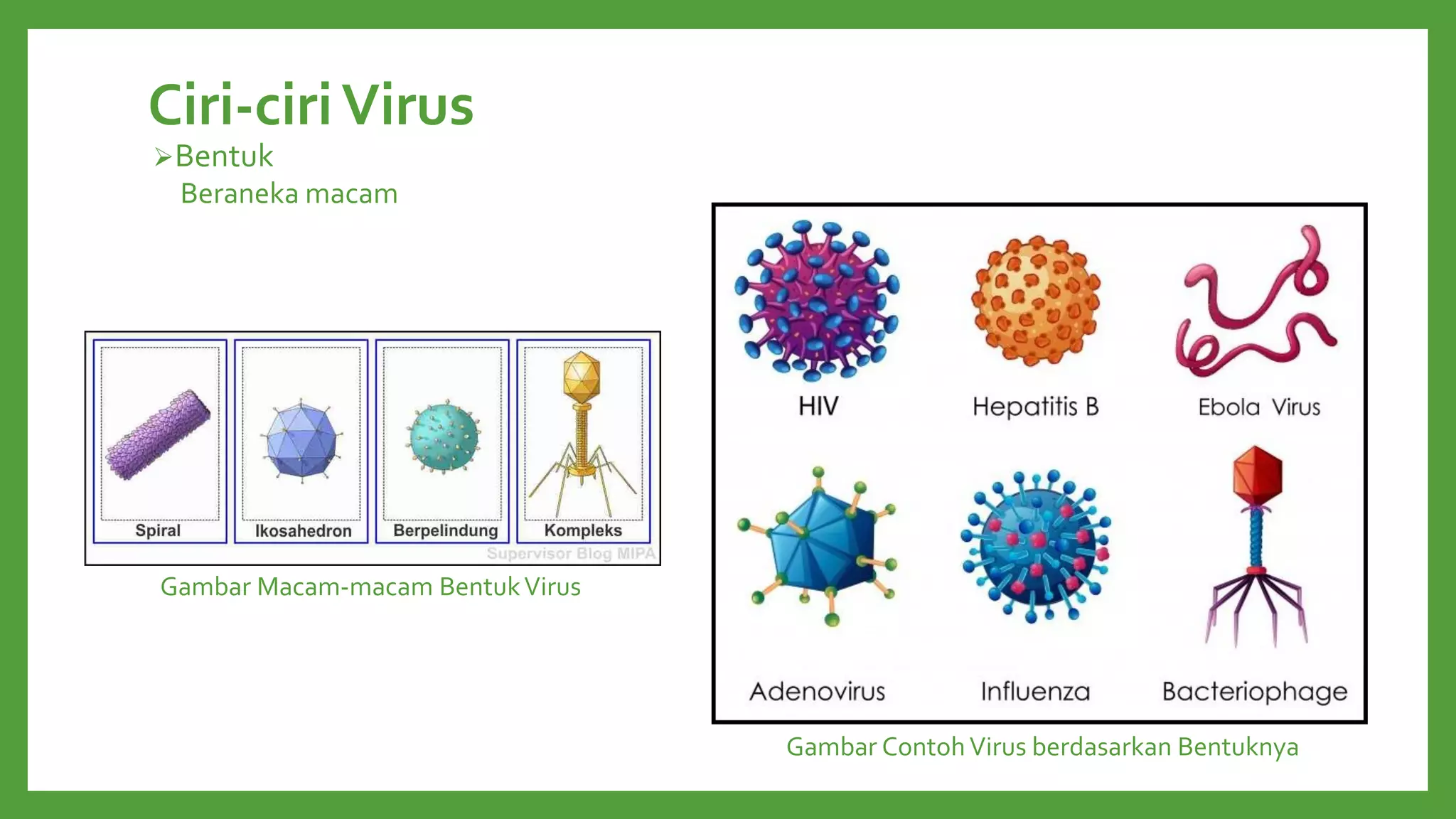 Virus-Biologi-Kelas X SMA/MA | PDF