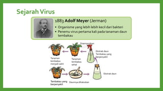 Virus-Biologi-Kelas X SMA/MA | PDF