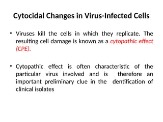 Virus-Cell-Intraction PowerPoint presentation | PPTX