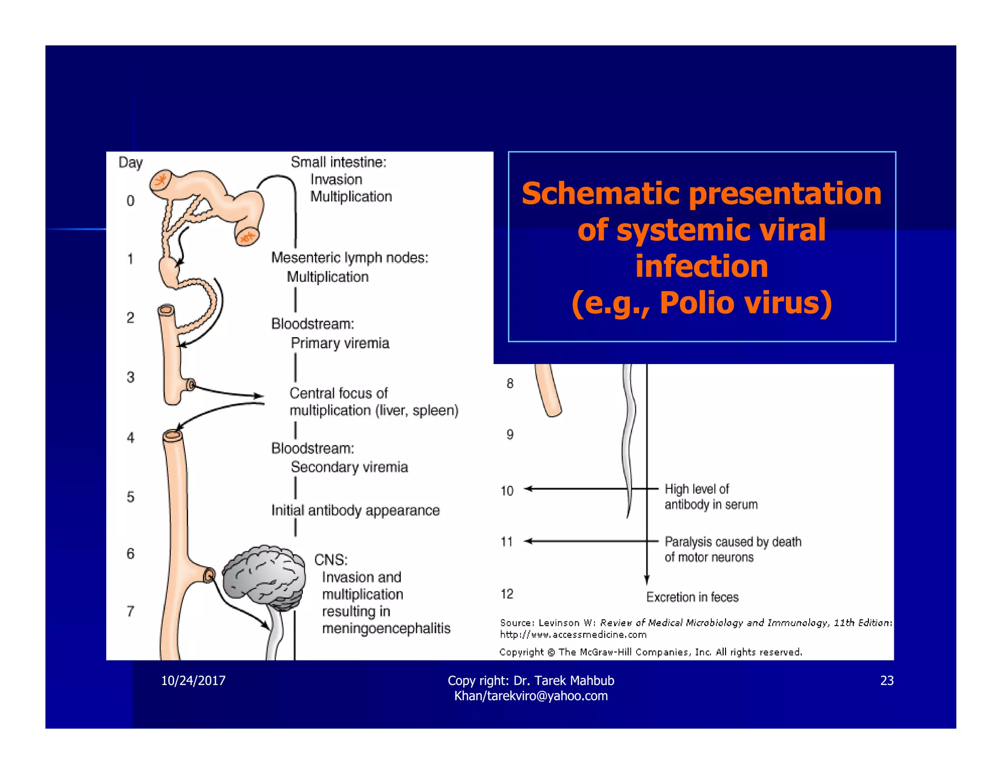Virus-cell and virus-host interaction (virology 7) | PDF