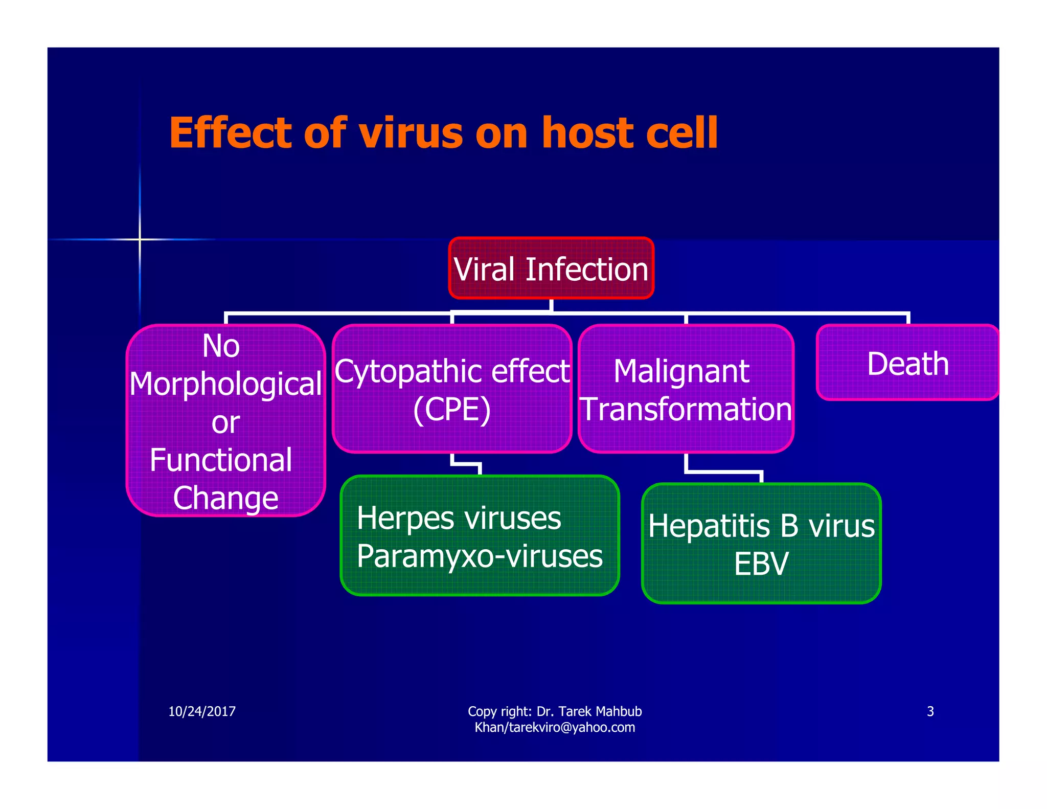 Virus-cell and virus-host interaction (virology 7) | PDF