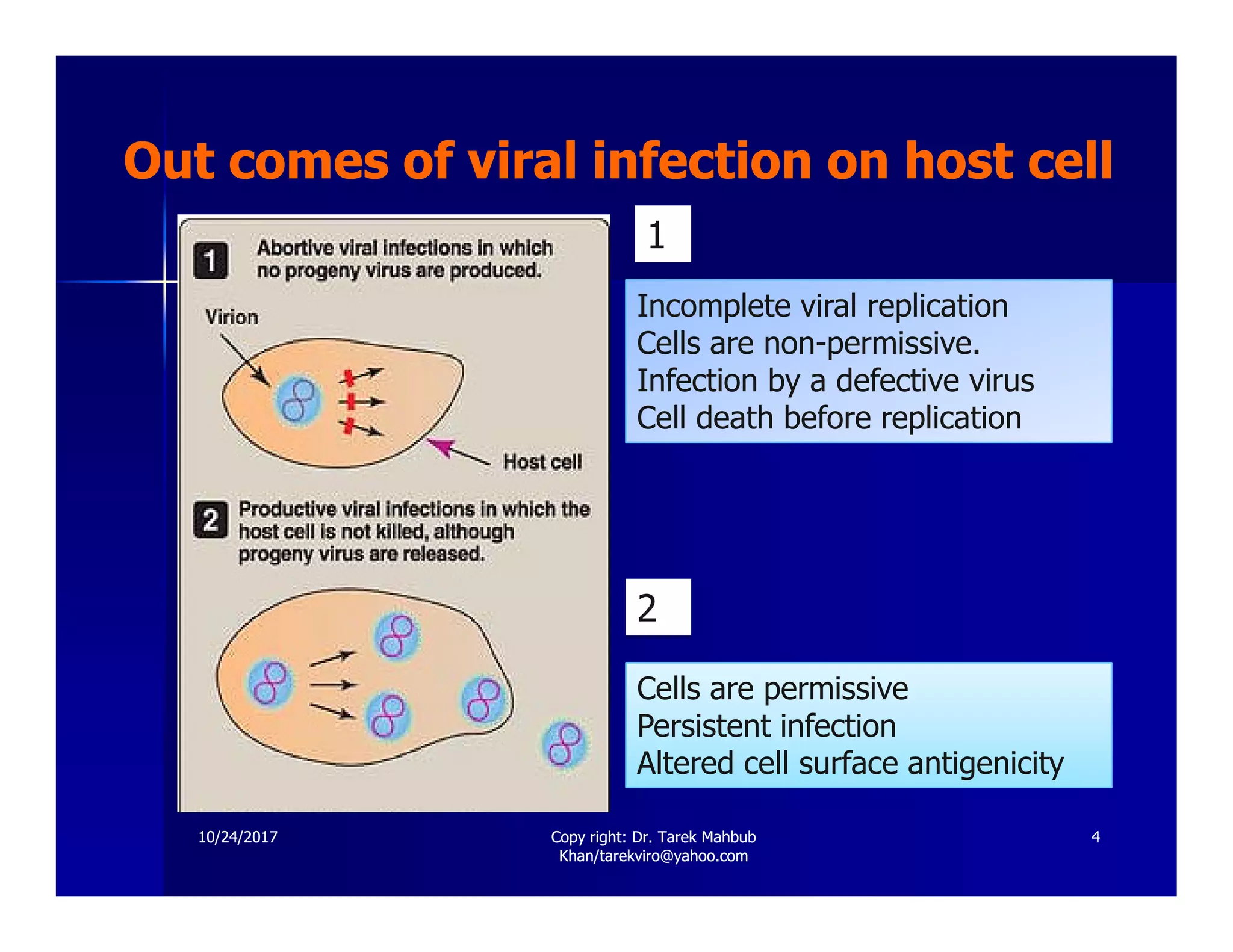 Virus-cell and virus-host interaction (virology 7) | PDF