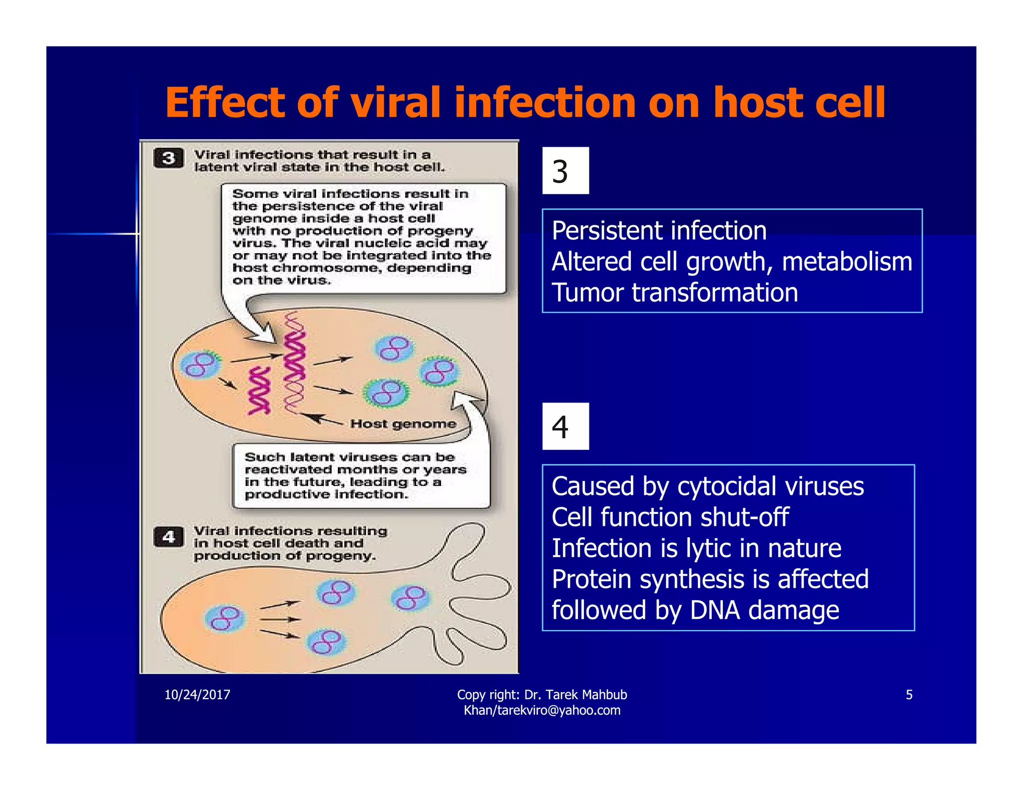 Virus-cell and virus-host interaction (virology 7) | PDF