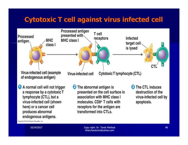 Virus-cell and virus-host interaction (virology 7) | PDF
