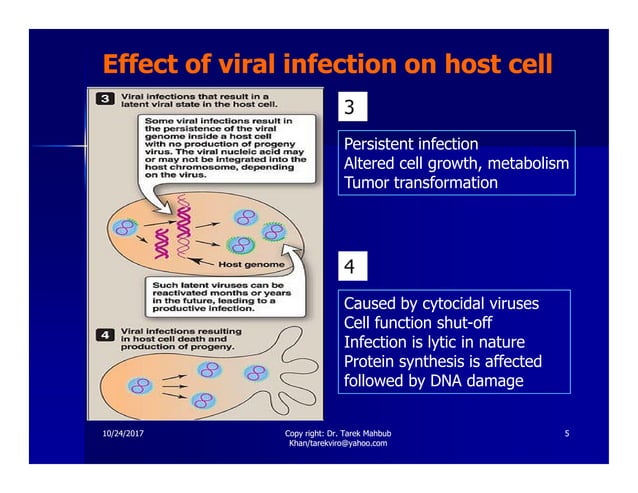 Virus-cell and virus-host interaction (virology 7) | PDF
