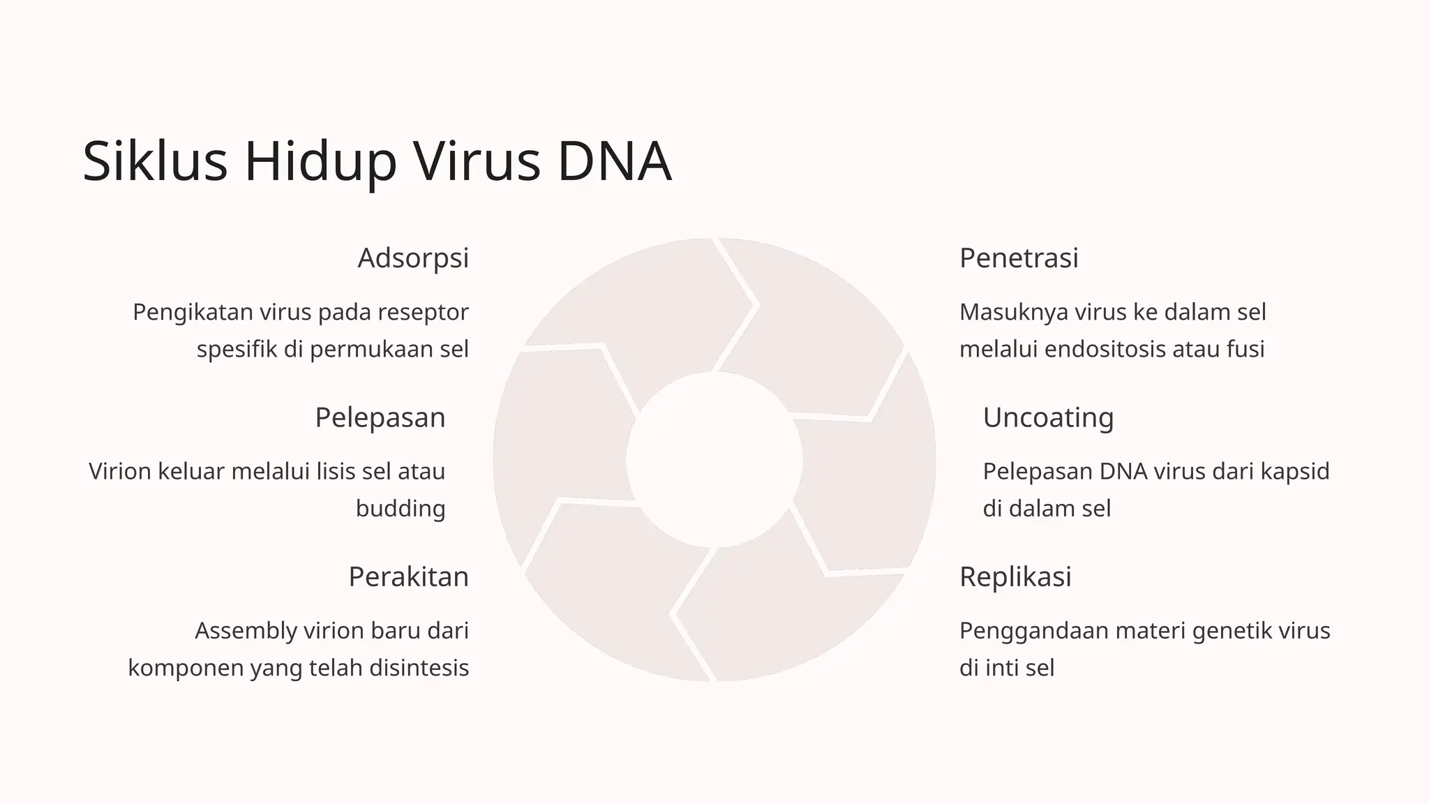 Virus-DNA-Struktur-Klasifikasi-dan-Siklus-Hidup.pptx