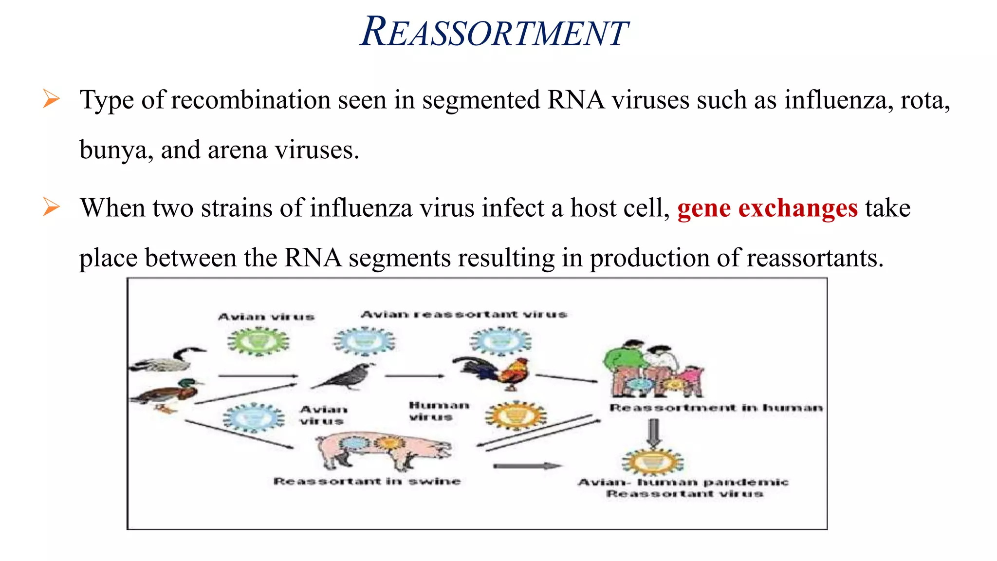 Virus host infection-module 1.1 | PPTX