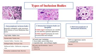 Virus host infection-module 1.1 | PPTX