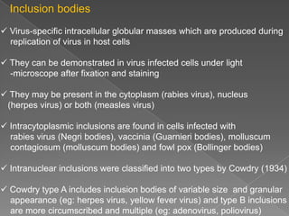 Virus host interactions | PPT