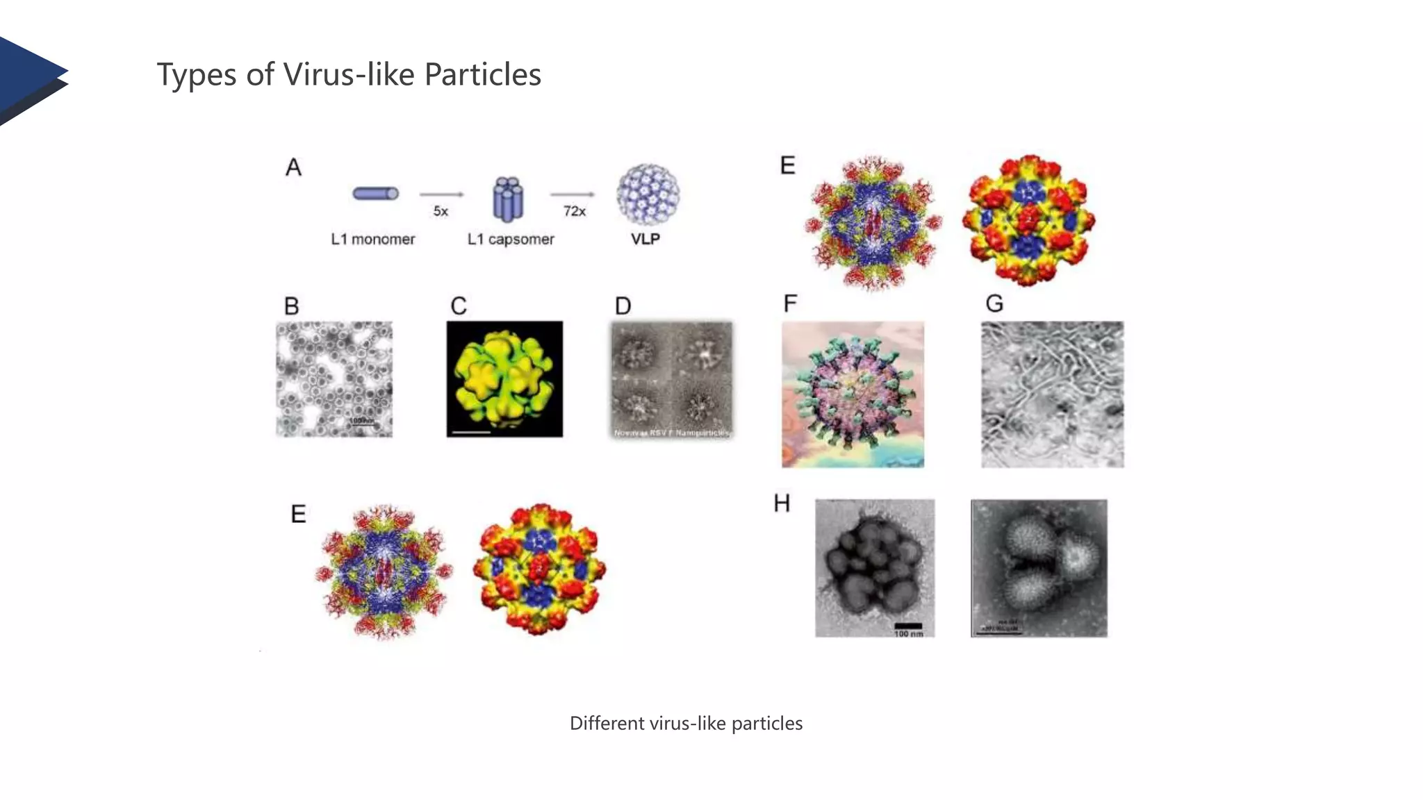 Virus like particles | PPTX