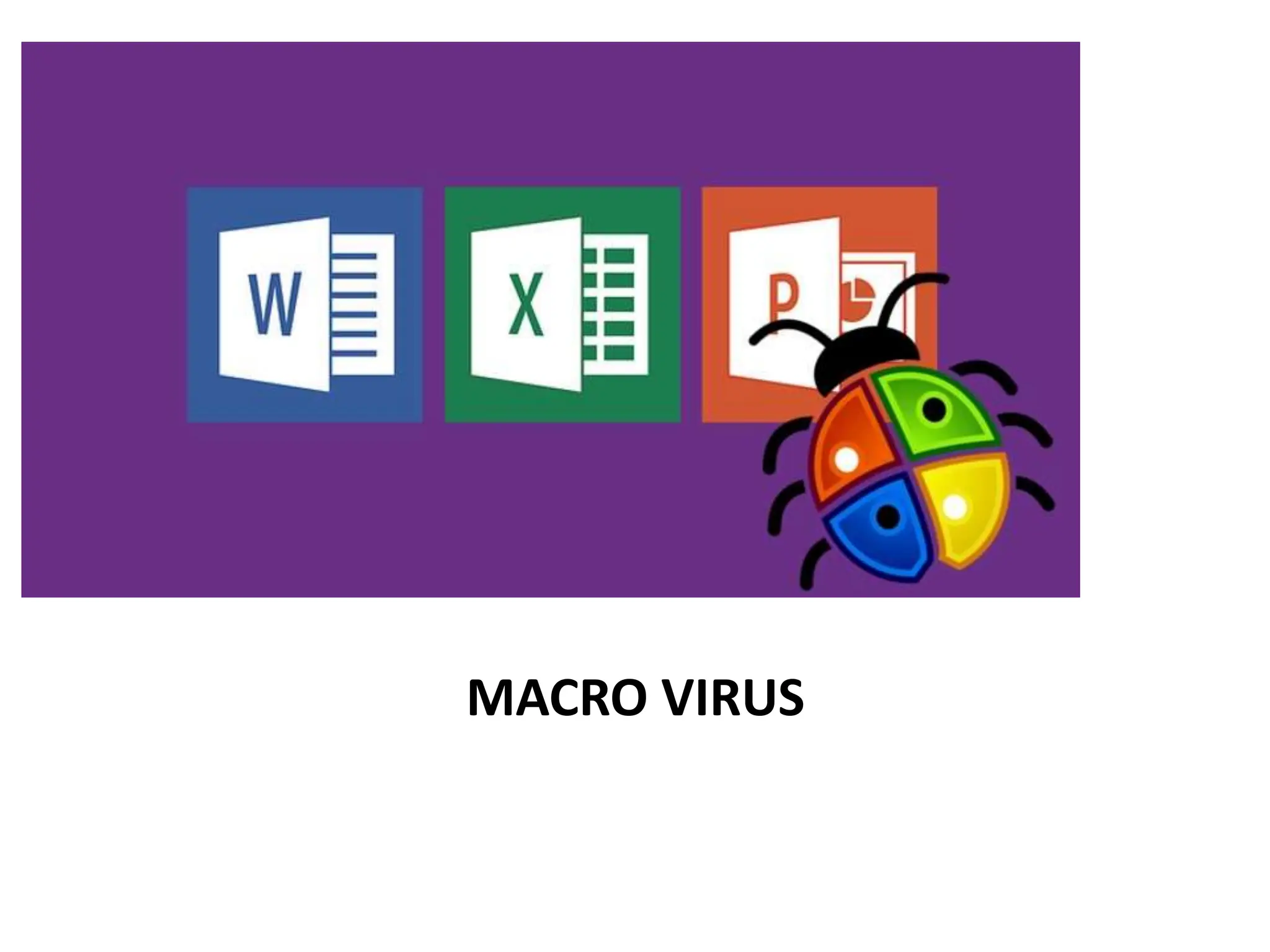 class 8 presentation on computer virus-macro.pptx