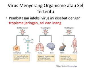 Virus-pertemuan-ke-4.pptx