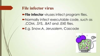 Virus soran university | PPT