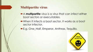 Virus soran university | PPT