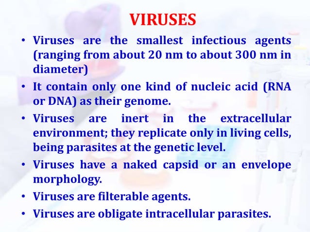 Virus - Structure and Classification | PPTX | Biological Sciences | Science