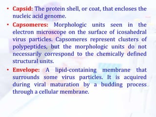 Virus - Structure and Classification | PPTX