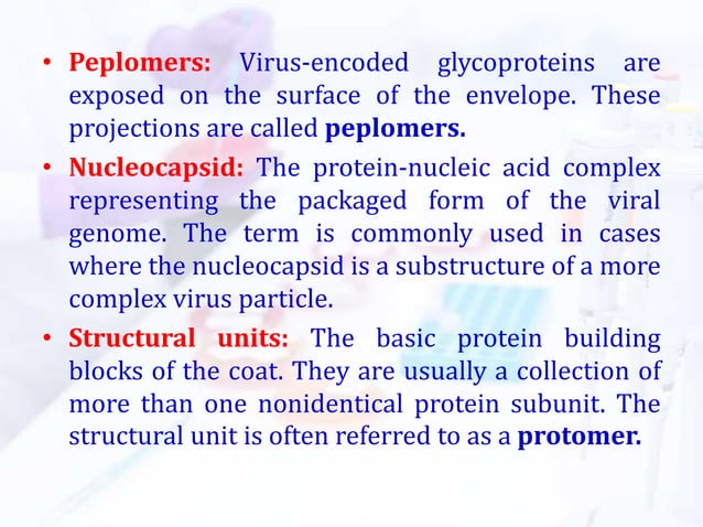 Virus - Structure and Classification | PPTX | Biological Sciences | Science