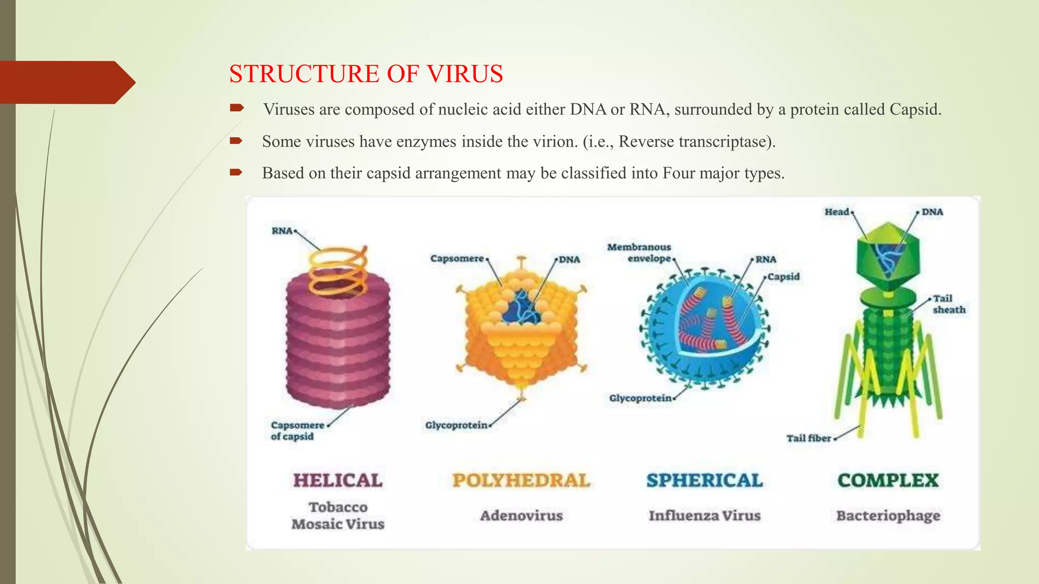 VIRUS- STRUCTURE AND CLASSIFICATION.pptx