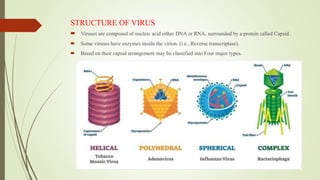 VIRUS- STRUCTURE AND CLASSIFICATION.pptx