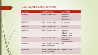 VIRUS- STRUCTURE AND CLASSIFICATION.pptx