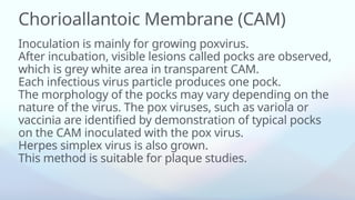 Virus - Structure,classification and Cultivation.pptx