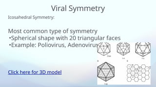Virus - Structure,classification and Cultivation.pptx