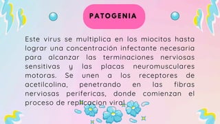 virus_071312_122011_micribiologia_parasitospdf | PDF