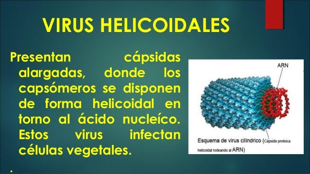 Ejemplos De Viroides