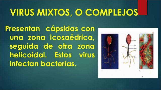 Ejemplos De Viroides