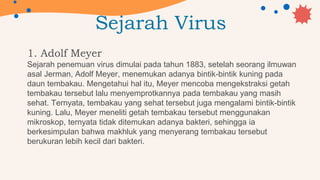 virus2-1.pptx