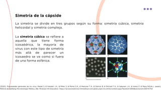 Características morfológicas de los virus | PDF