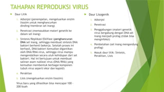 Bab 1 Virus : Replikasi virus (Daur litik dan daur lisogenik) | PPTX