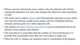 Virus culture and cytopathic effect | PPTX