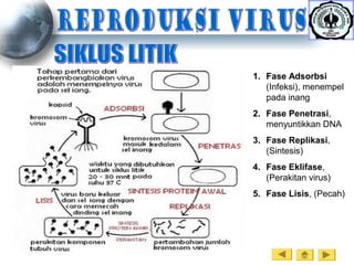 Virus 4 | PPT