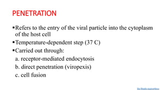 Viral replication | PPTX