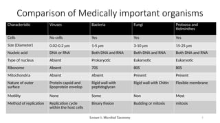 virus 9-10 lectures origin for student.pptx