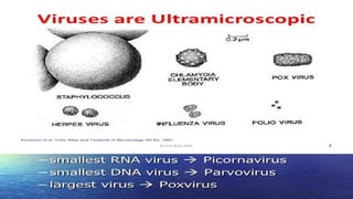 virus 9-10 lectures origin for student.pptx