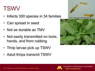 Virus and bacteria in High Tunnels | PPT